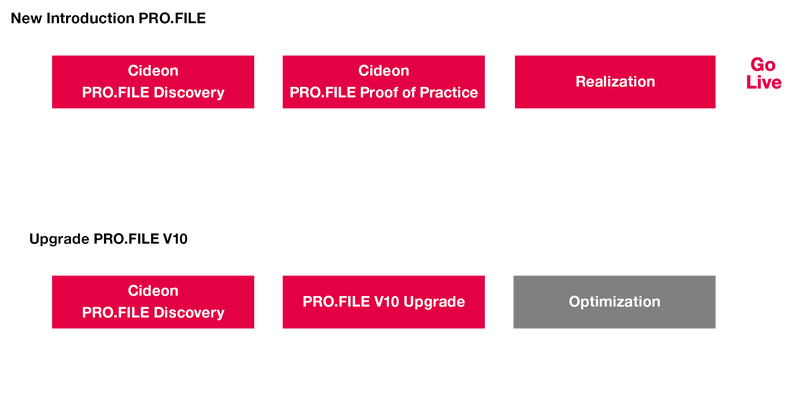 PRO.FILE Software - Consulting, Implementation & Support