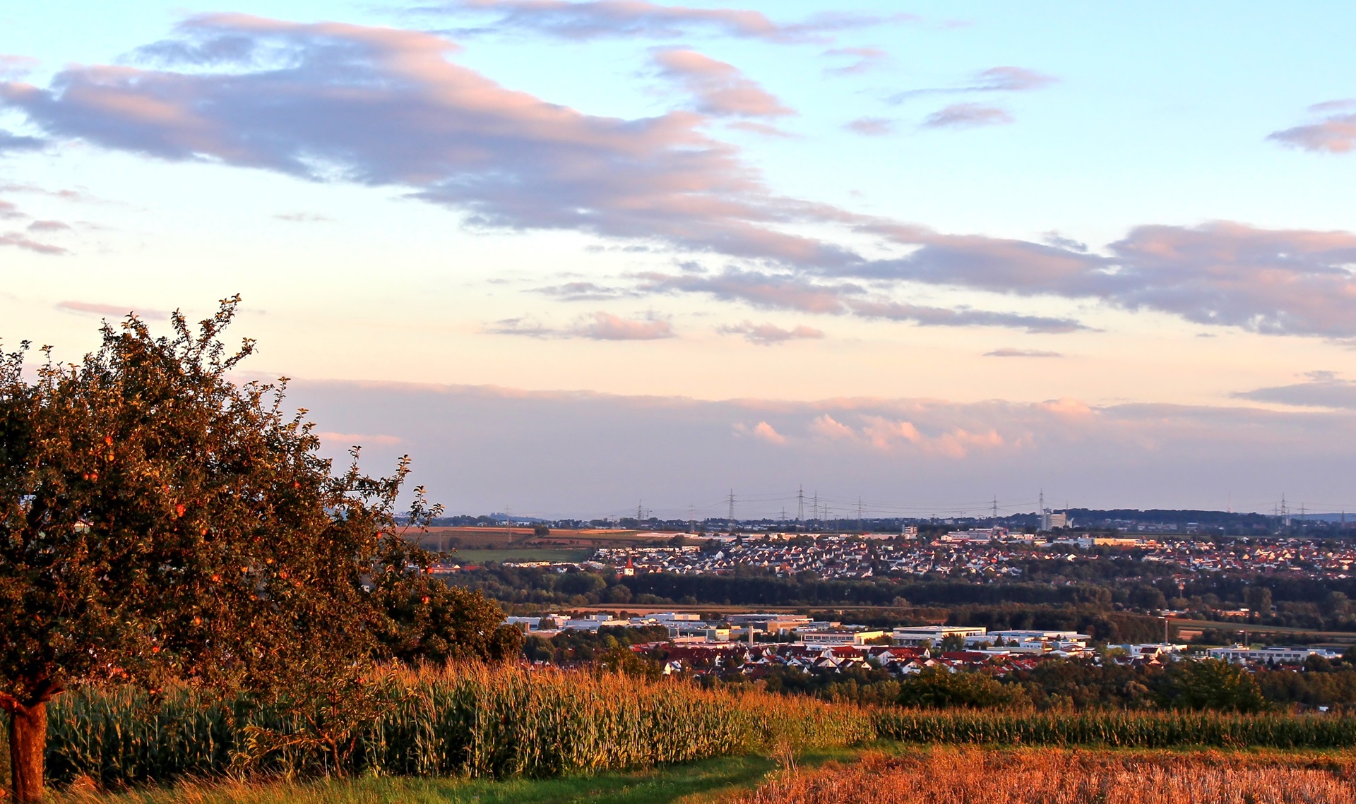 Cideon Mundelsheim | Your IT company in Mundelsheim